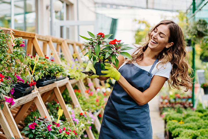 Certificate II in Horticulture AHC20422-01 | TAFE NSW
