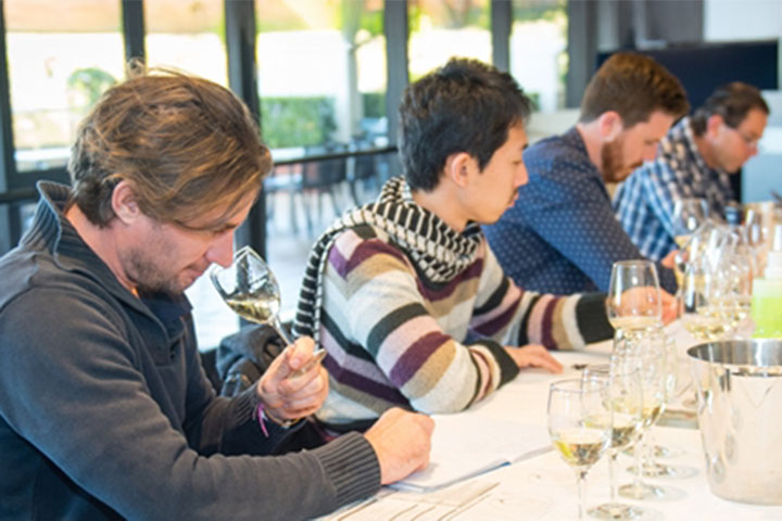 Sydney Wine Academy: Wine Courses & Education | TAFE NSW